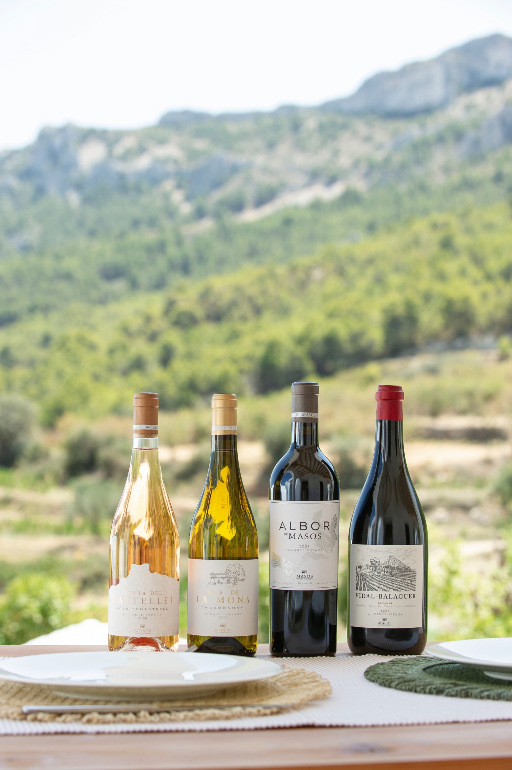 Cata de vinos, aceite y visita a la bodega – Masos Guadalest